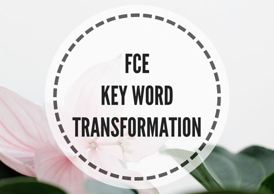Effective FCE Use of English: key word transformation